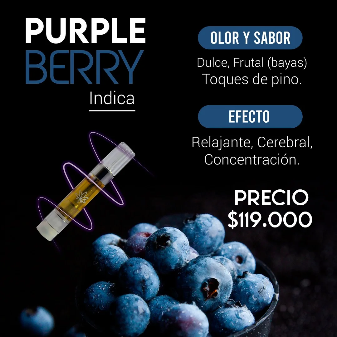 Soy CBD Colombia - CAPSULA THC PURPLE BERRY INDICA