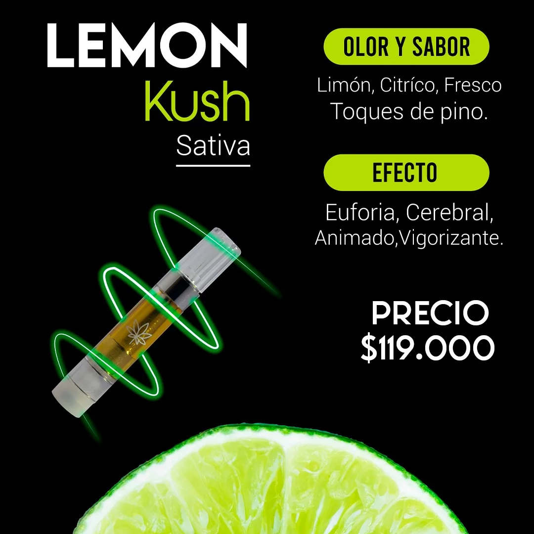 Soy CBD Colombia - CAPSULA THC LEMON KUSH SATIVA